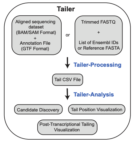 Tim Nicholson-Shaw, Ph.D.